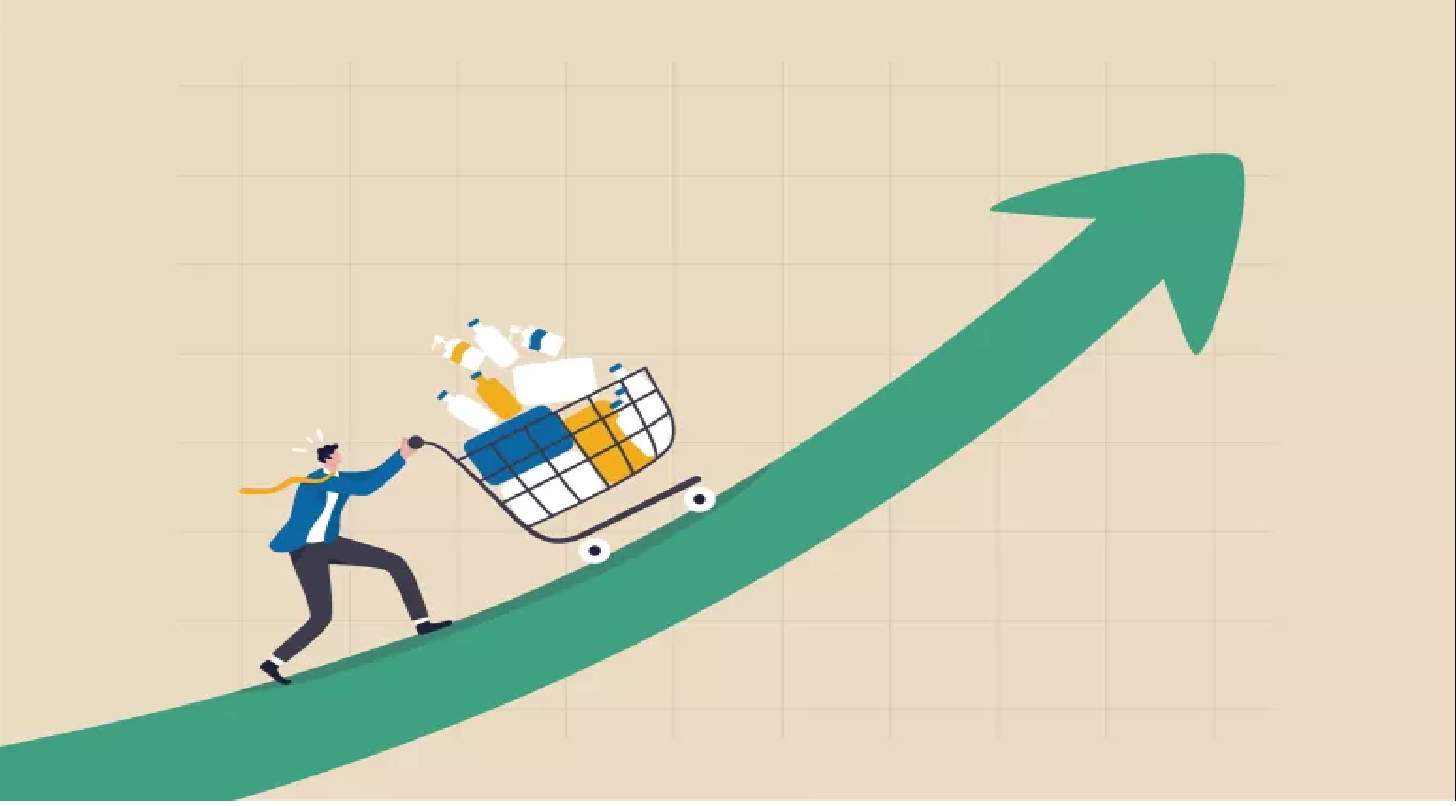 Inflação no Brasil: Impactos e Consequências para a Vida dos ...